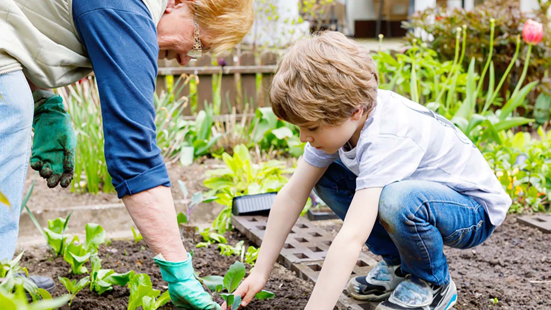 Programs - Proof Alliance